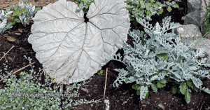 How to make concrete leaves 8 steps - craftingwithconcrete.com