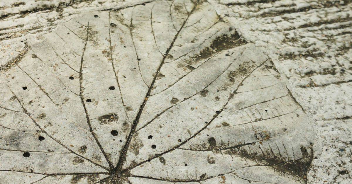 From Sleek and Smooth to Textured and Rustic: Exploring the Versatility ...