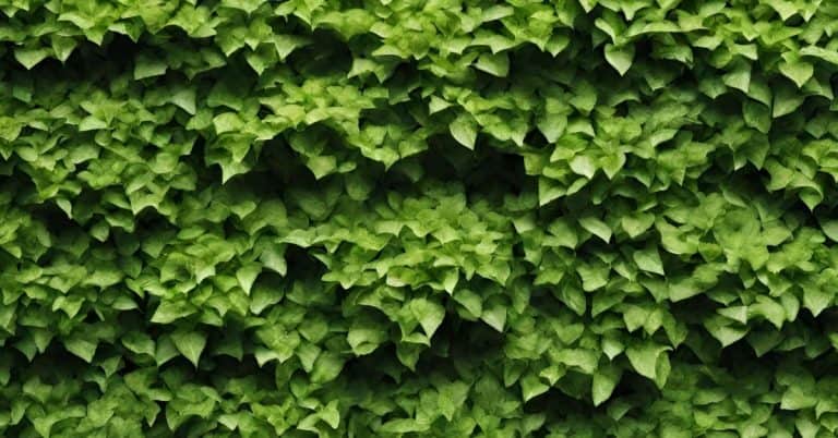 The Ultimate Guide: How to Care for Plant Walls and Keep Your Green ...