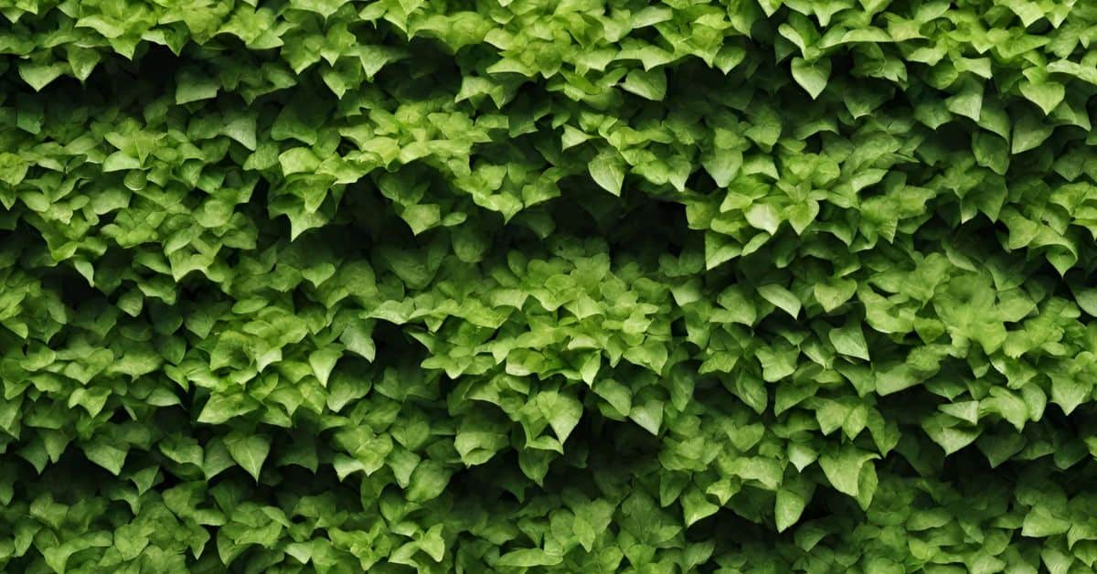 The Ultimate Guide: How to Care for Plant Walls and Keep Your Green ...