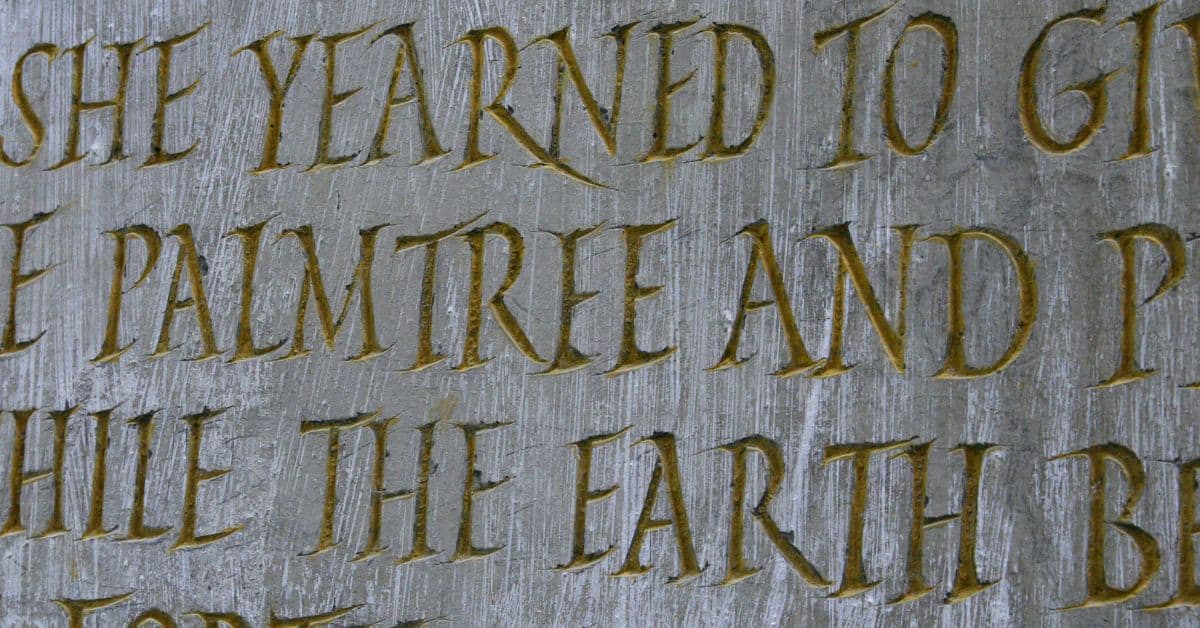 101: Everything You Need to Know to Create Stunning Designs ...