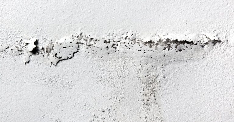 Practical Solutions: How to Treat Damp Concrete Floors and Prevent ...