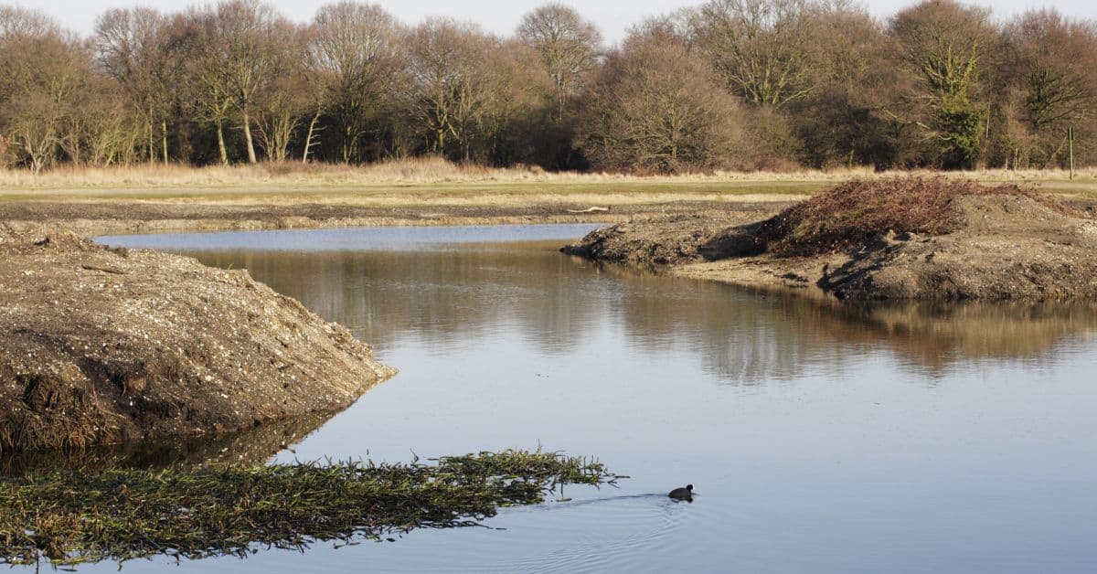 Expert Guide: How to Dredge a Pond and Restore its Natural Beauty ...