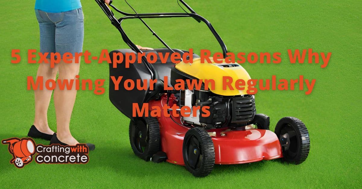 5 Expert-Approved Reasons Why Mowing Your Lawn Regularly Matters ...