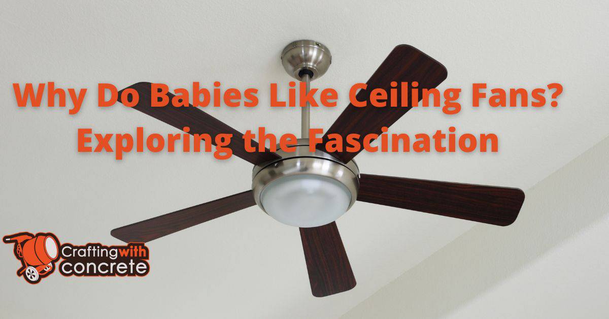 Babies’ Fascination with Ceiling Fans: A Study - craftingwithconcrete.com
