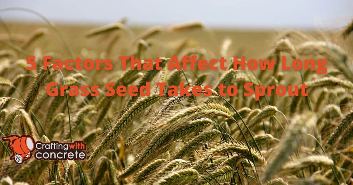 Grass Seed Sprouting: 5 Key Growth Factors - craftingwithconcrete.com