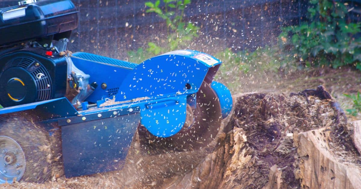 Stump Grinding Cleanup: Step-by-Step Yard Guide - craftingwithconcrete.com