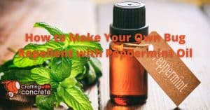 DIY Peppermint Oil Bug Repellent: Safe & Effective ...