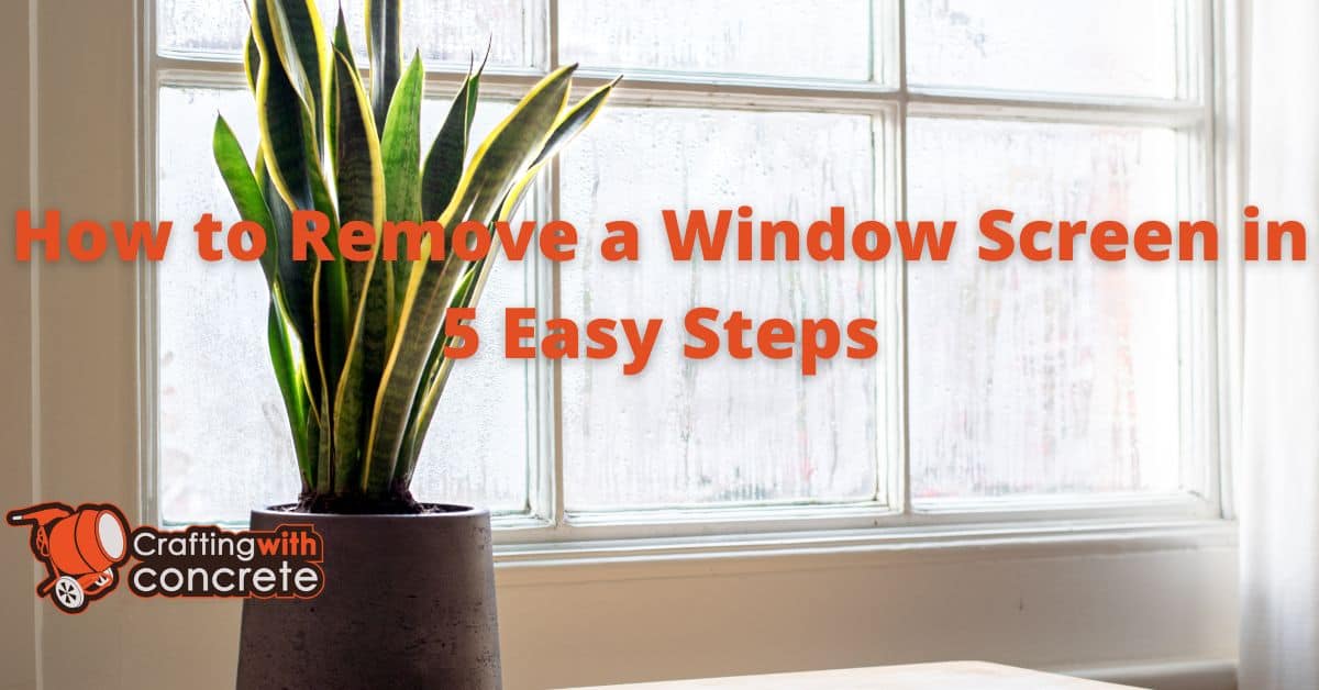 Remove Window Screens: 5 Simple DIY Steps - craftingwithconcrete.com