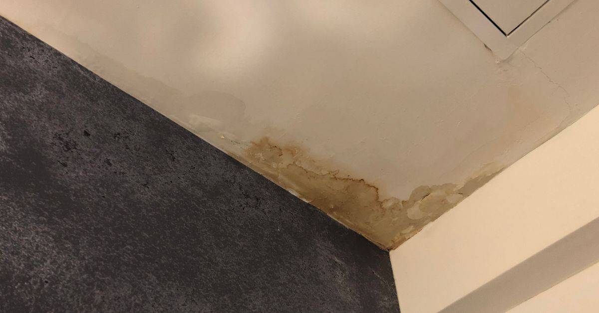 Ceiling Brown Spots: Causes & Effective Fixes - craftingwithconcrete.com