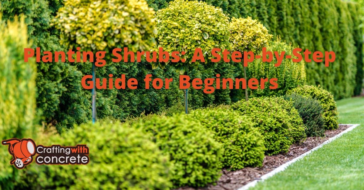 Beginner’s Guide to Planting Shrubs: Tips & Steps ...