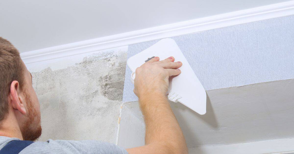 DIY Wallpaper Installation: A Step-by-Step Guide - craftingwithconcrete.com