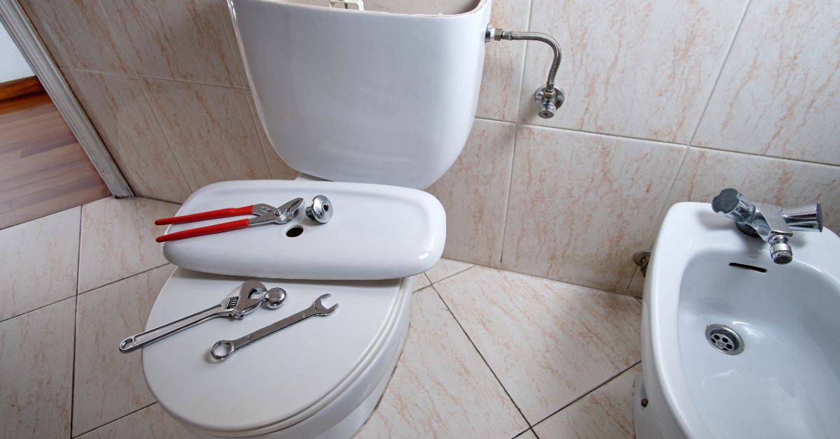 Cisterns Explained: Collection, Storage & Usage Tips ...