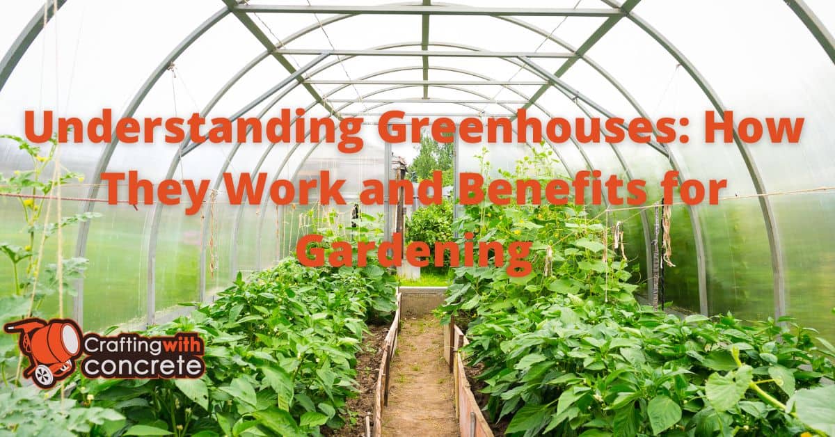 Greenhouse Gardening: Benefits & How-To Guide - craftingwithconcrete.com