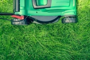 Ultimate Guide to Pro-Level Grass Cutting Techniques ...