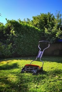 Ultimate Guide to Pro-Level Grass Cutting Techniques ...