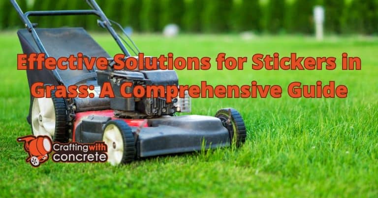 How to Manage and Remove Stickers in Your Lawn Effectively ...
