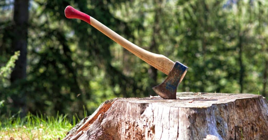 How to cut down a tree with an axe - craftingwithconcrete.com