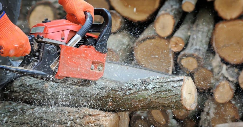 How to fell a tree with chainsaw - craftingwithconcrete.com