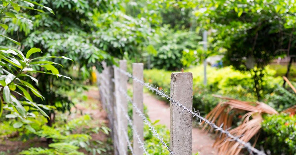 Types Of Concrete Fence Posts A Comprehensive Guide