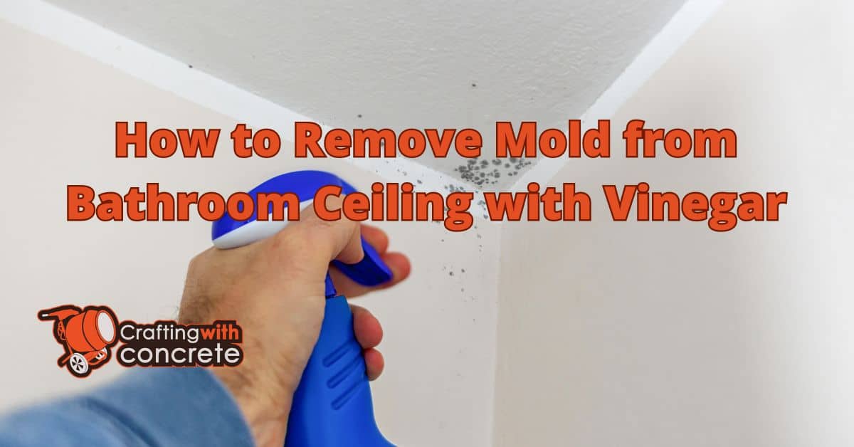 How to remove mold from bathroom ceiling with vinegar ...