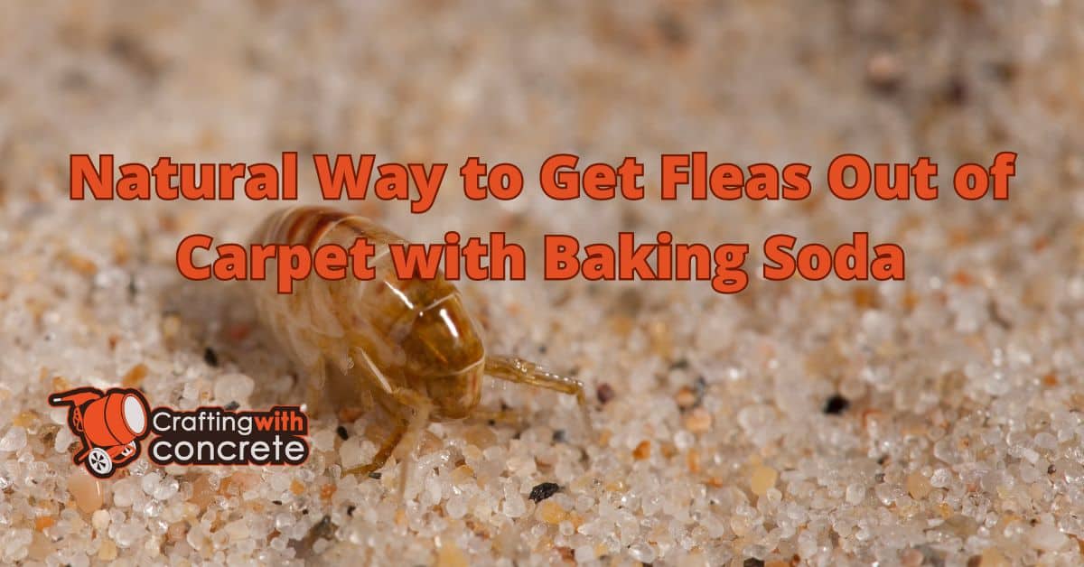 Natural way to get fleas out of carpet with baking soda ...