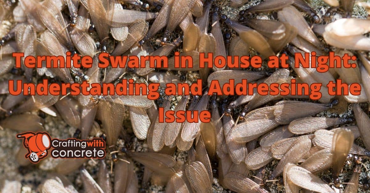 Termite swarm in house at night - craftingwithconcrete.com