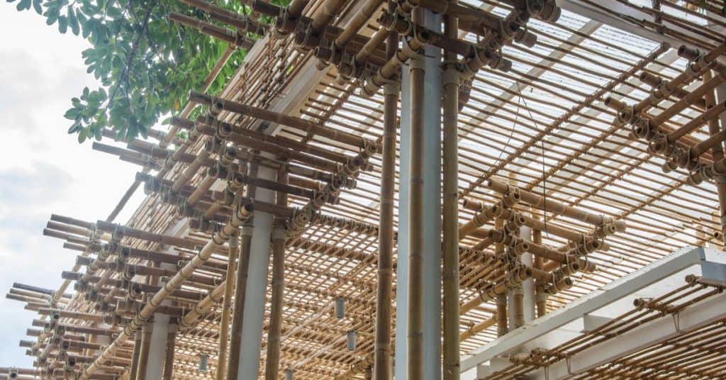 Expert Insights on how strong is bamboo - craftingwithconcrete.com