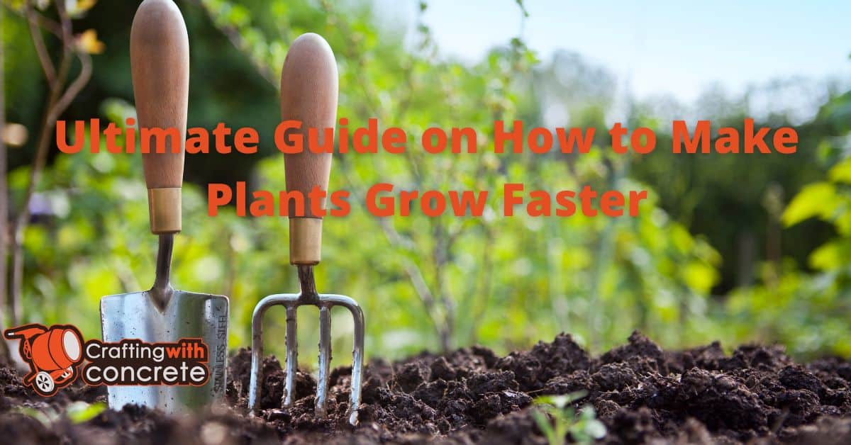 Grow Plants Faster: Ultimate Gardening Guide - craftingwithconcrete.com