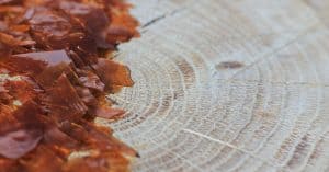 Painting Over Shellac: Tips for a Smooth, Flawless Finish ...