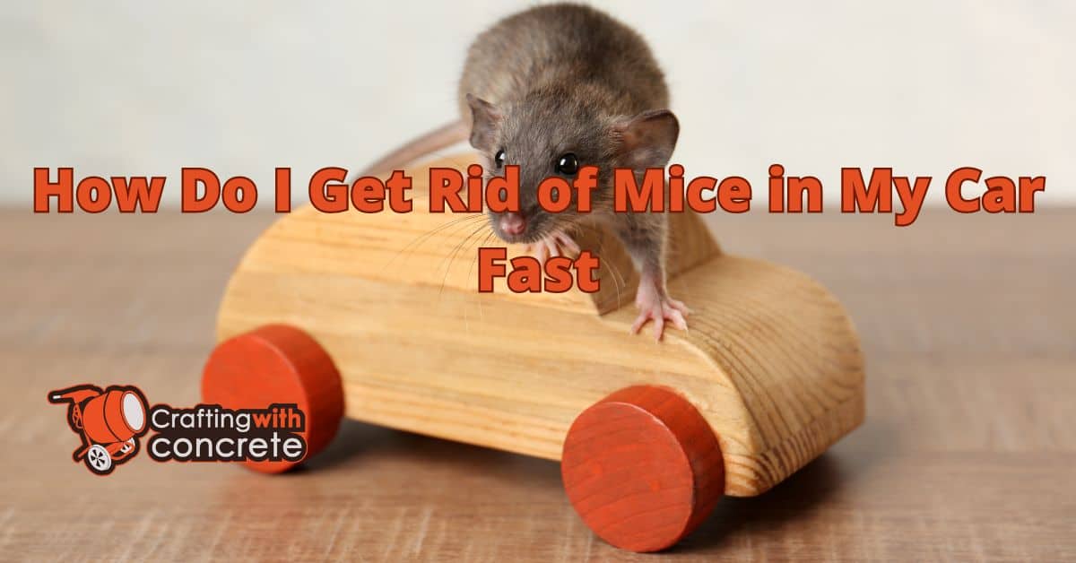 How do i get rid of mice in my car fast - craftingwithconcrete.com