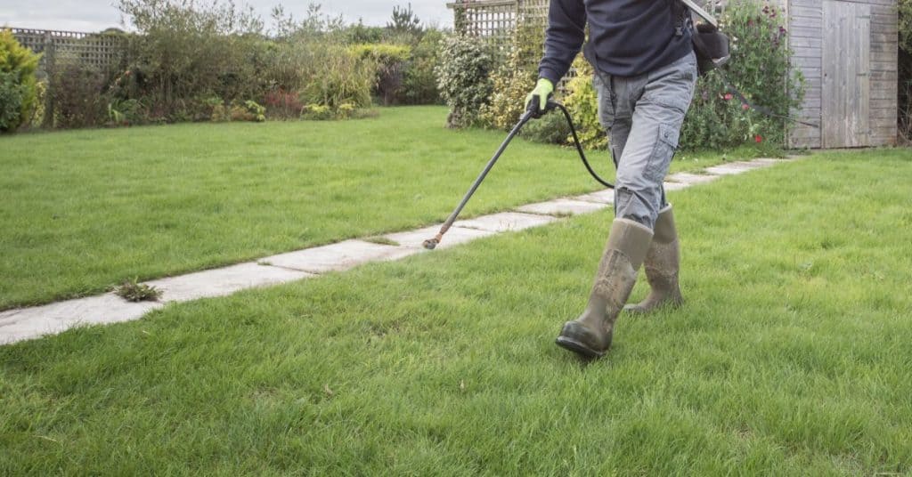How long to wait to mow after weed and feed - craftingwithconcrete.com