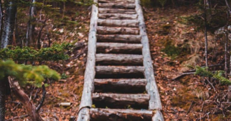 How to build stairs on a steep slope - craftingwithconcrete.com