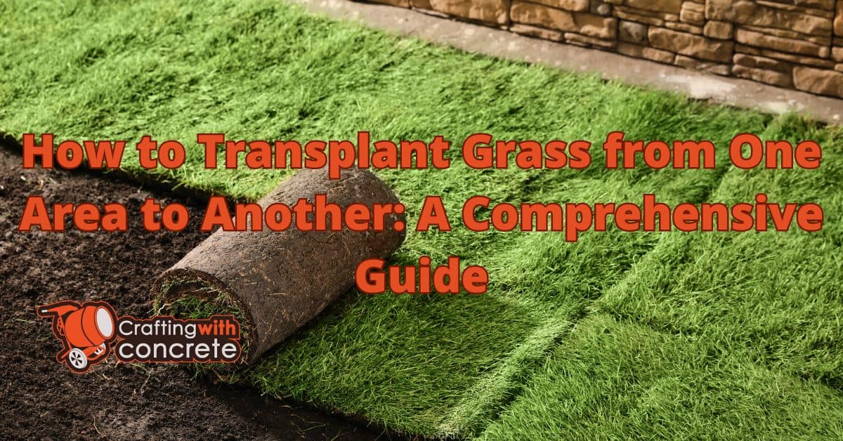 How to transplant grass from one area to another - craftingwithconcrete.com