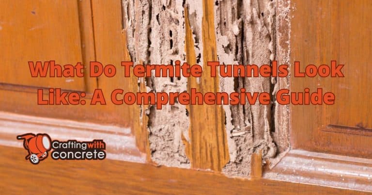 What do termite tunnels look like - craftingwithconcrete.com