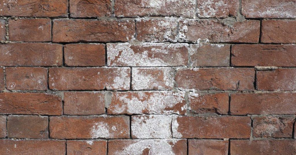 What is concrete efflorescence - craftingwithconcrete.com