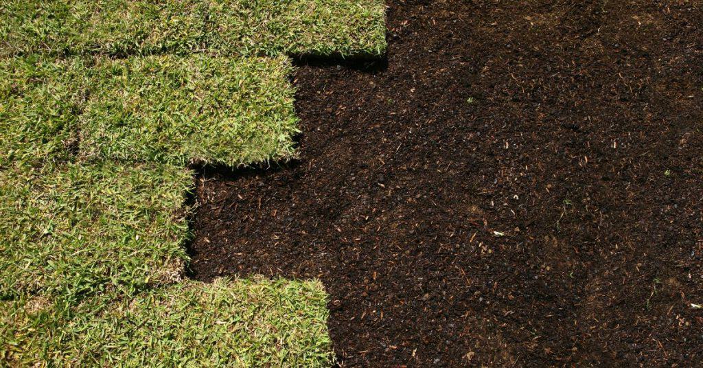 What is sod in landscaping - craftingwithconcrete.com