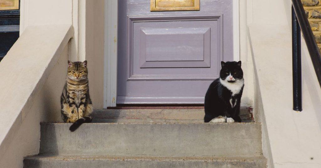 What is a stoop on a house - craftingwithconcrete.com