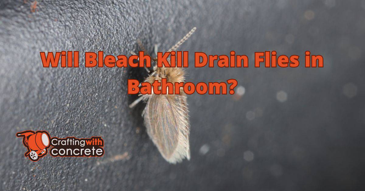 Will bleach kill drain flies in bathroom - craftingwithconcrete.com