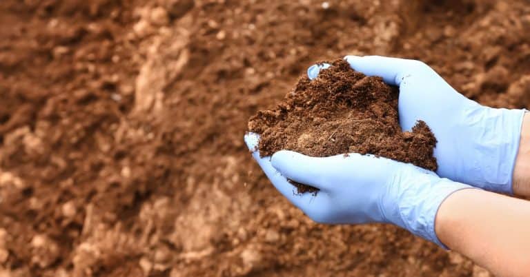 How long does a perc test take - craftingwithconcrete.com