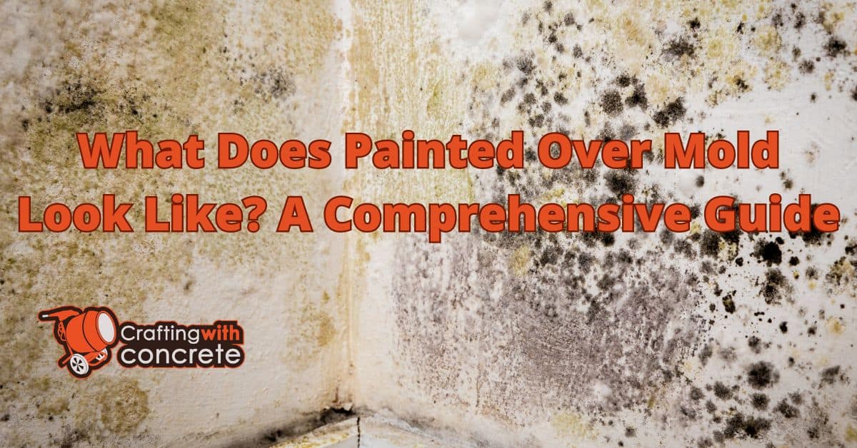 What does painted over mold look like - craftingwithconcrete.com