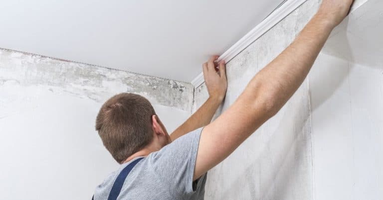 What is coving in construction - craftingwithconcrete.com