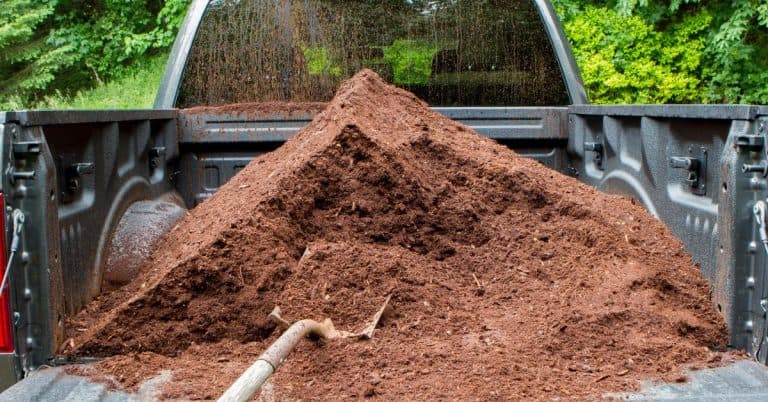 What To Do With Extra Dirt