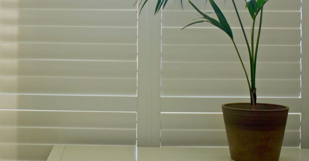 Painting Plantation Shutters: A How-To Guide - craftingwithconcrete.com