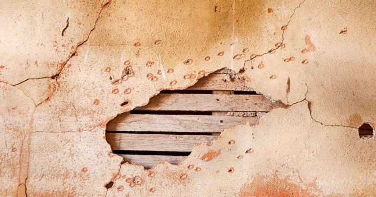 Cutting Plaster Walls: A Step-by-Step Guide - craftingwithconcrete.com