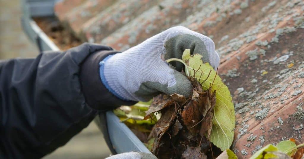 Manage Roof Runoff Without Gutters Easily - craftingwithconcrete.com