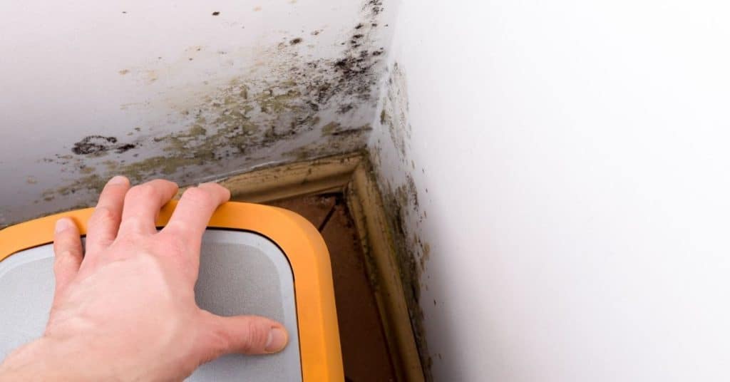Is Mold Under Vinyl Flooring a Health Risk? - craftingwithconcrete.com