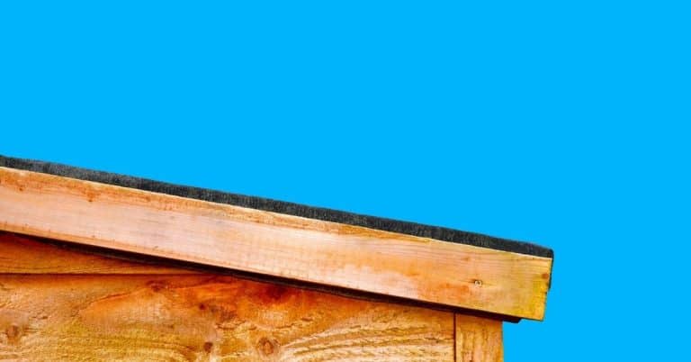 Understanding Shed Roofs: A Simple Guide - craftingwithconcrete.com