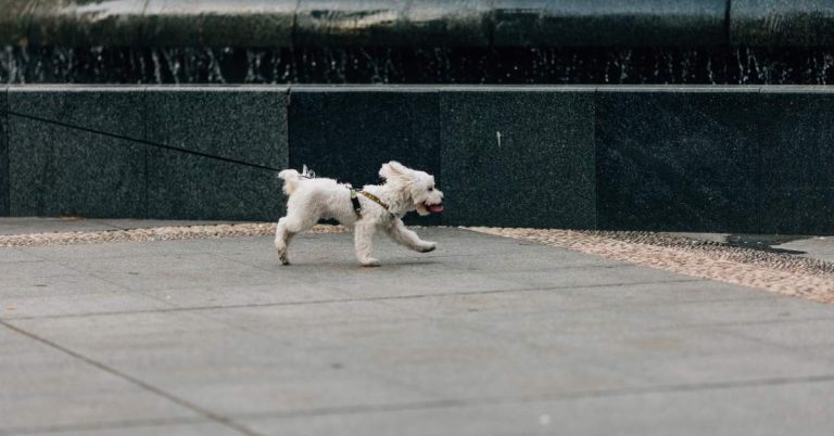 Durable Board Form Concrete Retaining Wall - craftingwithconcrete.com
