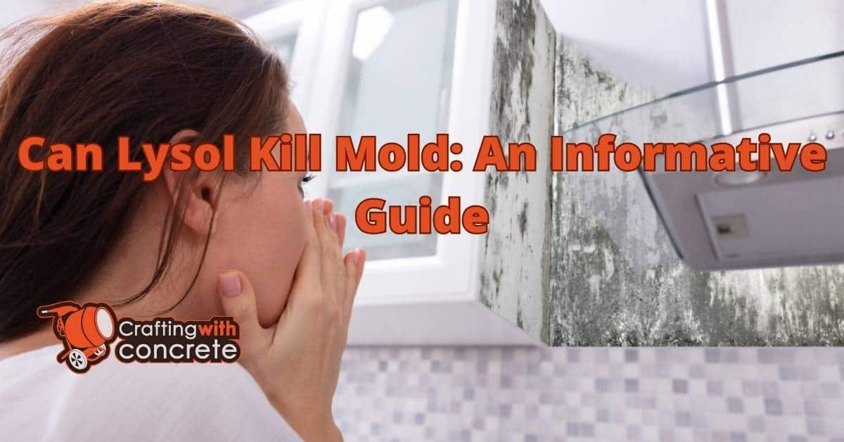 Does Lysol Effectively Kill Mold? - craftingwithconcrete.com
